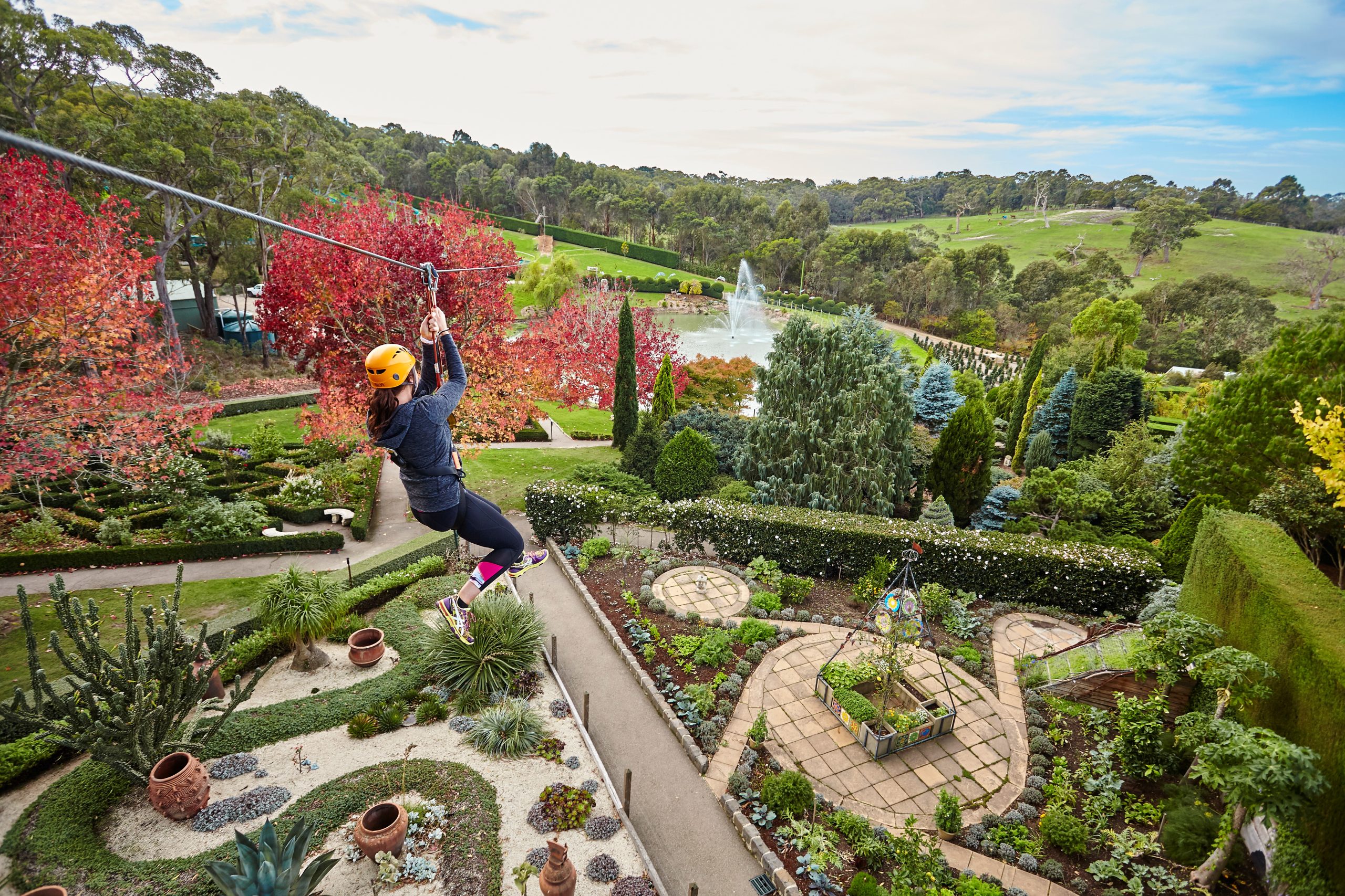 Enchanted Adventure: The Home of Tree Surfing - Go Beyond Melbourne